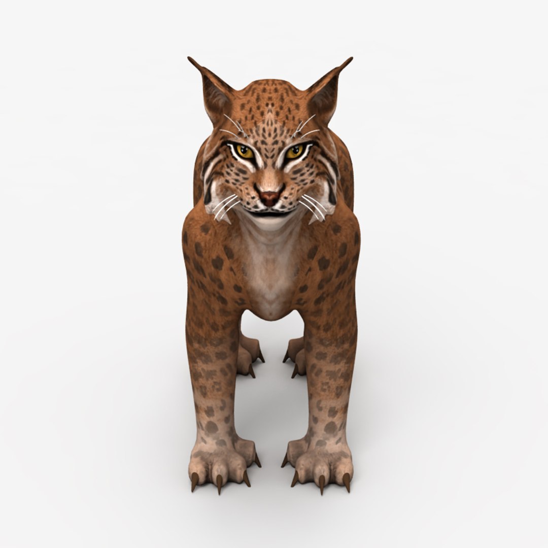 Lynx 3d Max
