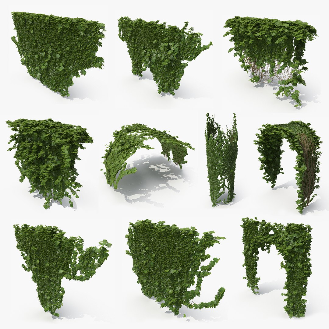 Ivy 2 3D model - TurboSquid 1243430