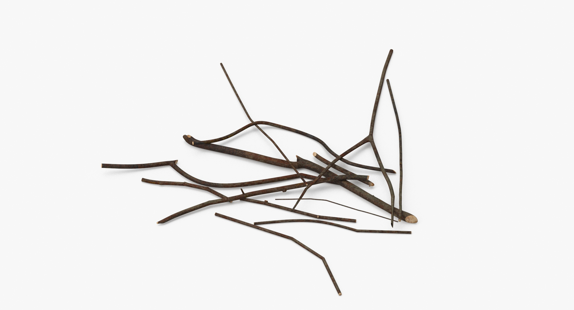 Sticks And Branches Pile 3D - TurboSquid 2027245