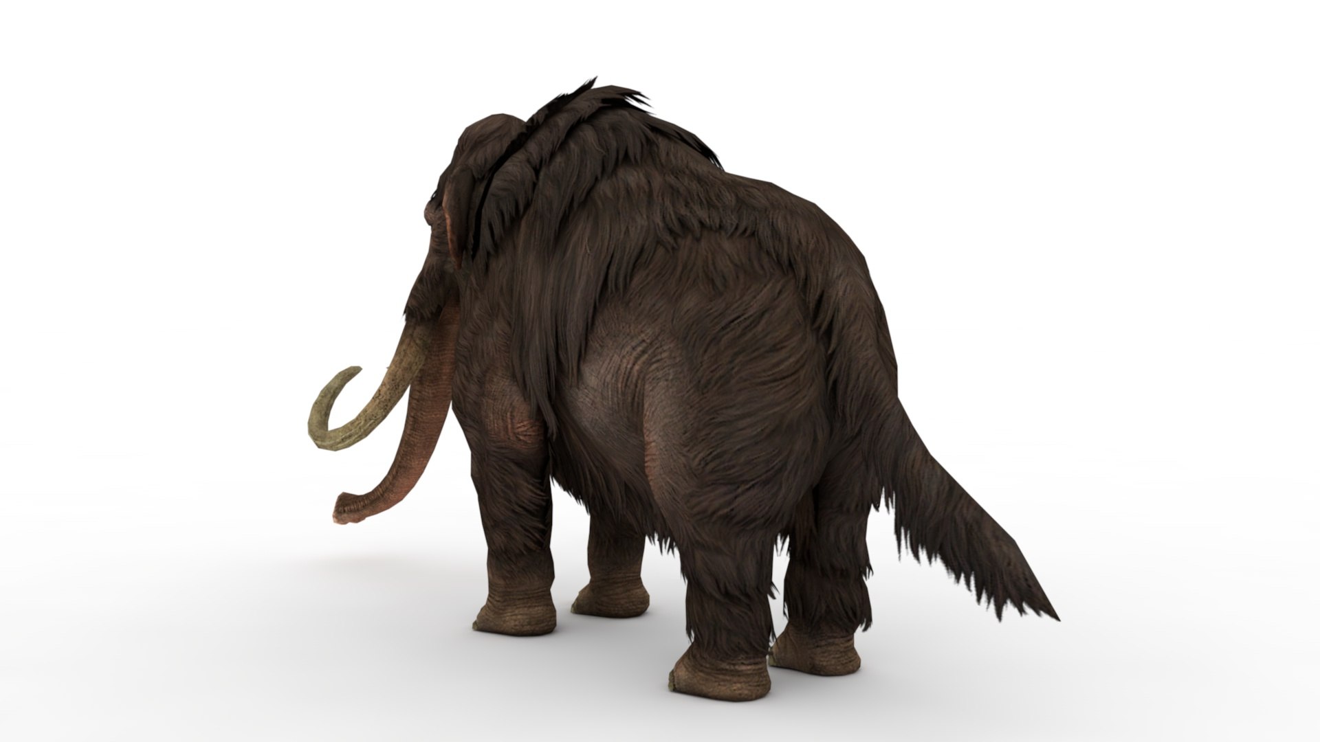 Wild elephant 3D - TurboSquid 1948813