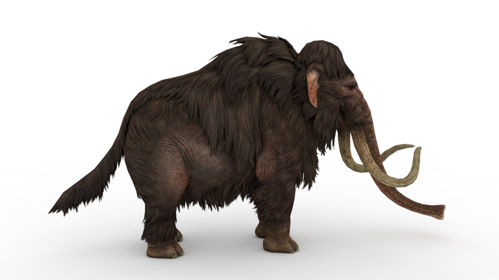 Wild elephant 3D - TurboSquid 1948813