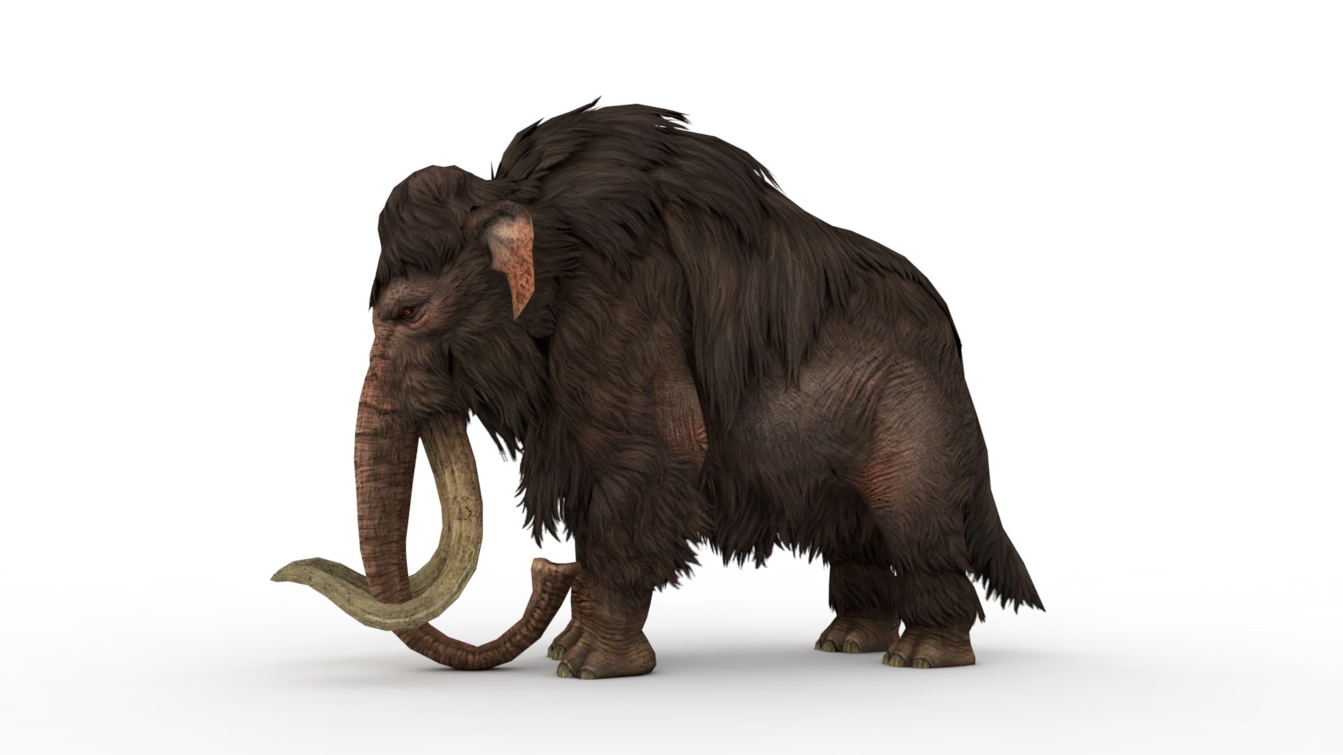 Wild elephant 3D - TurboSquid 1948813