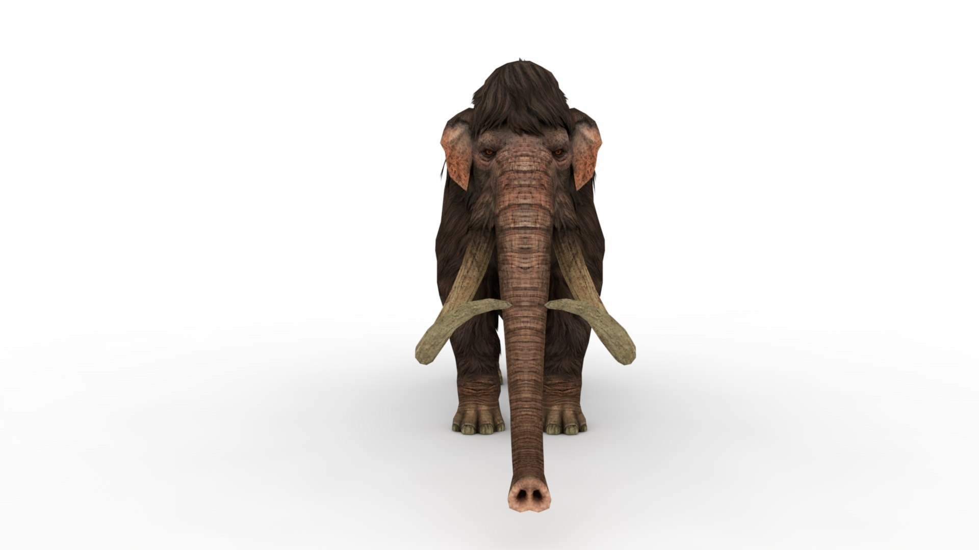 Wild elephant 3D - TurboSquid 1948813