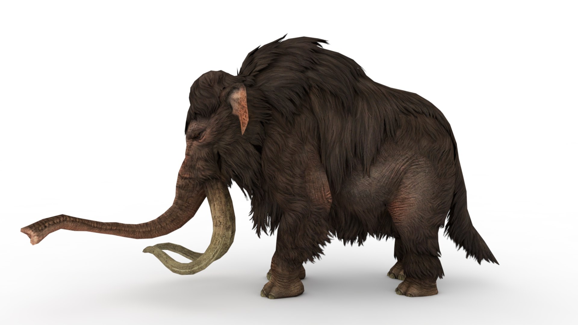 Wild elephant 3D - TurboSquid 1948813