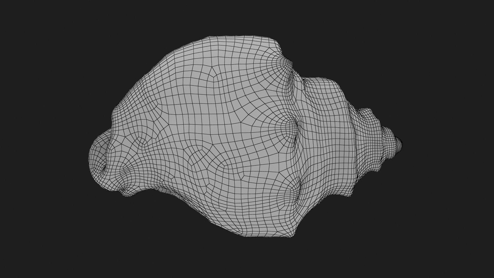 3D Cockleshell 2 Model - TurboSquid 2140114