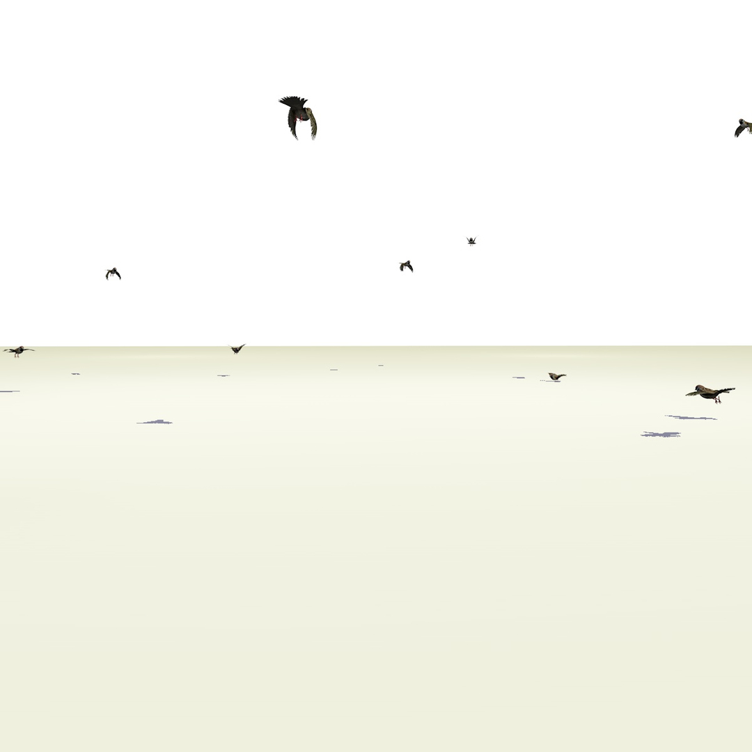 3D Group Sparrows Landing Flying Model - TurboSquid 1328809