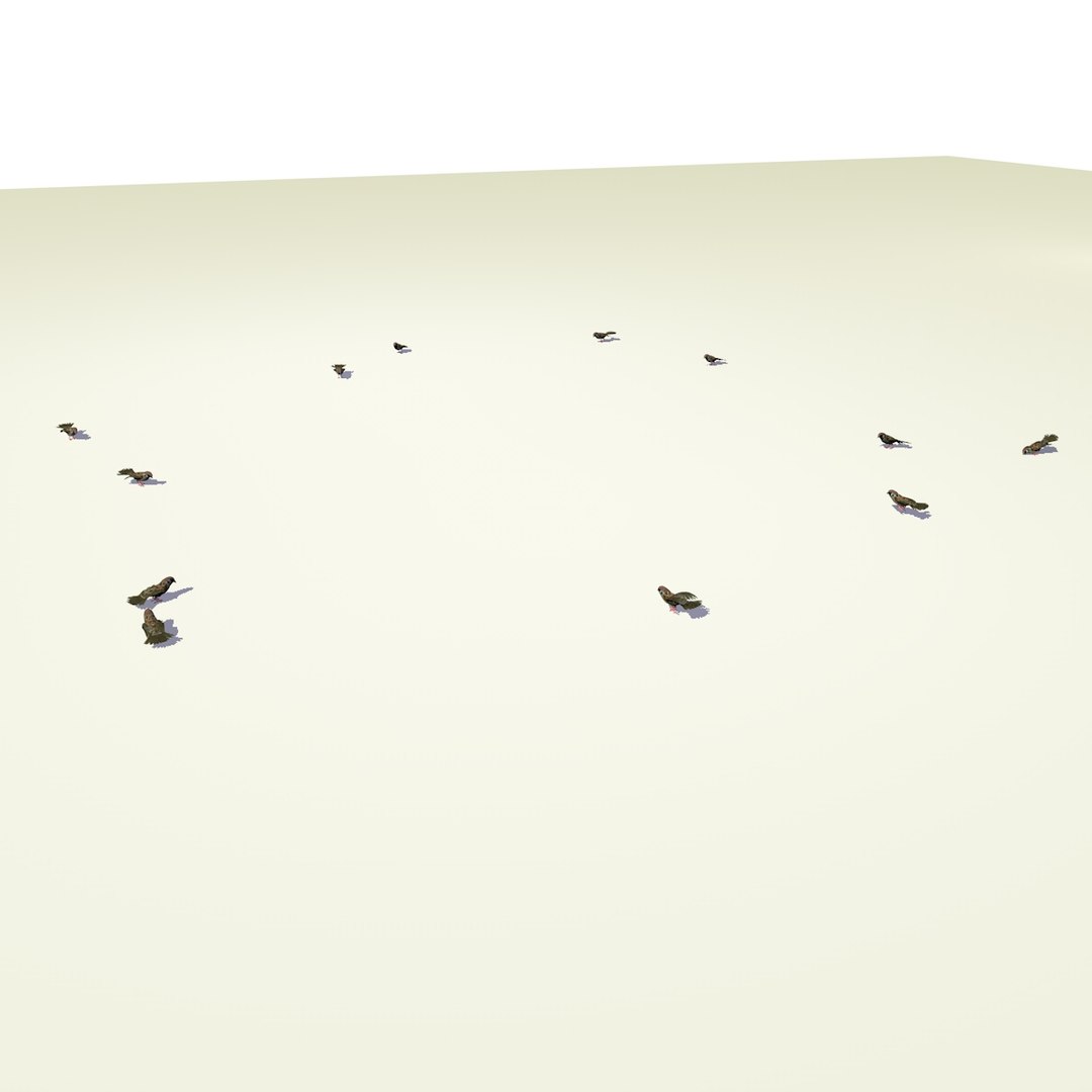 3D Group Sparrows Landing Flying Model - TurboSquid 1328809