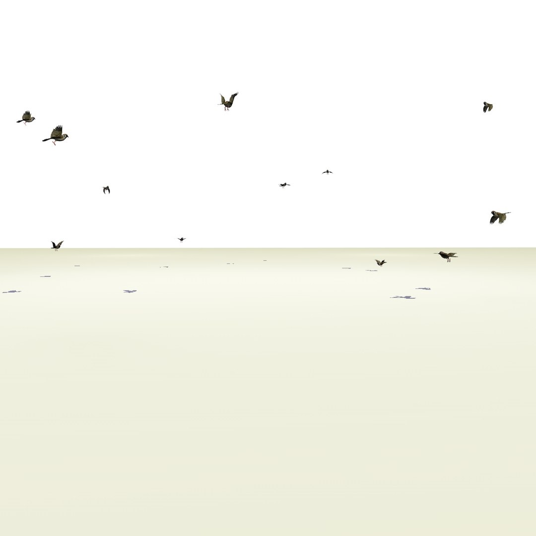 3D Group Sparrows Landing Flying Model - TurboSquid 1328809