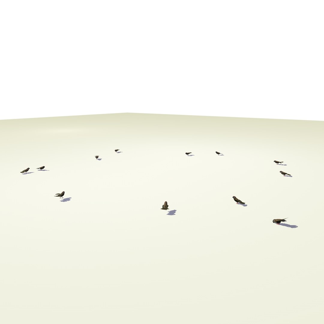 3D Group Sparrows Landing Flying Model - TurboSquid 1328809