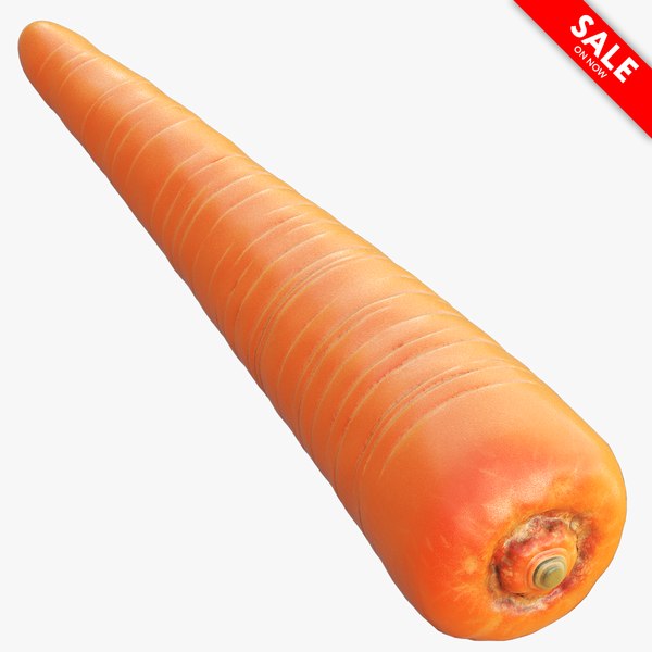 Carrot 3D Models for Download | TurboSquid