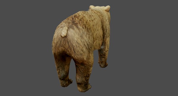 low-poly bear 3d max