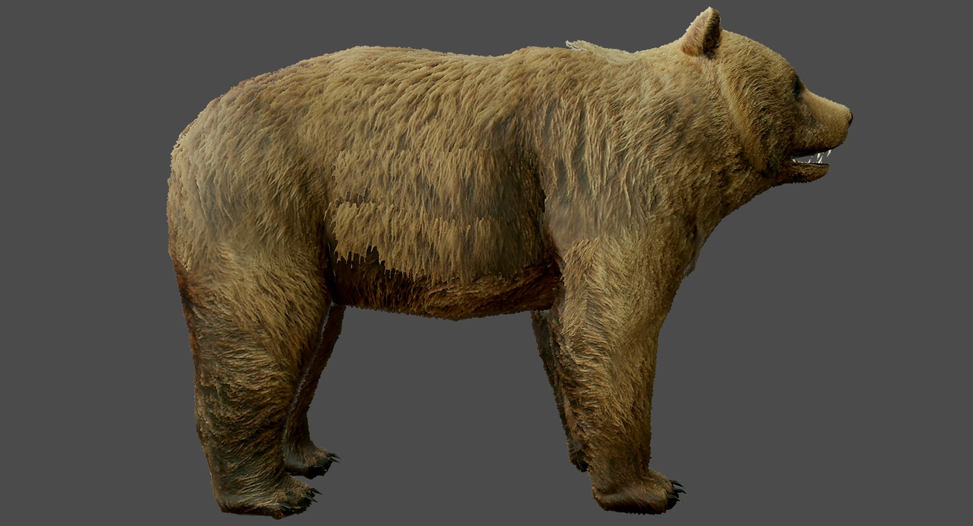 Low-poly Bear 3d Max
