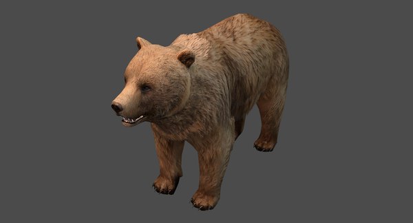 low-poly bear 3d max