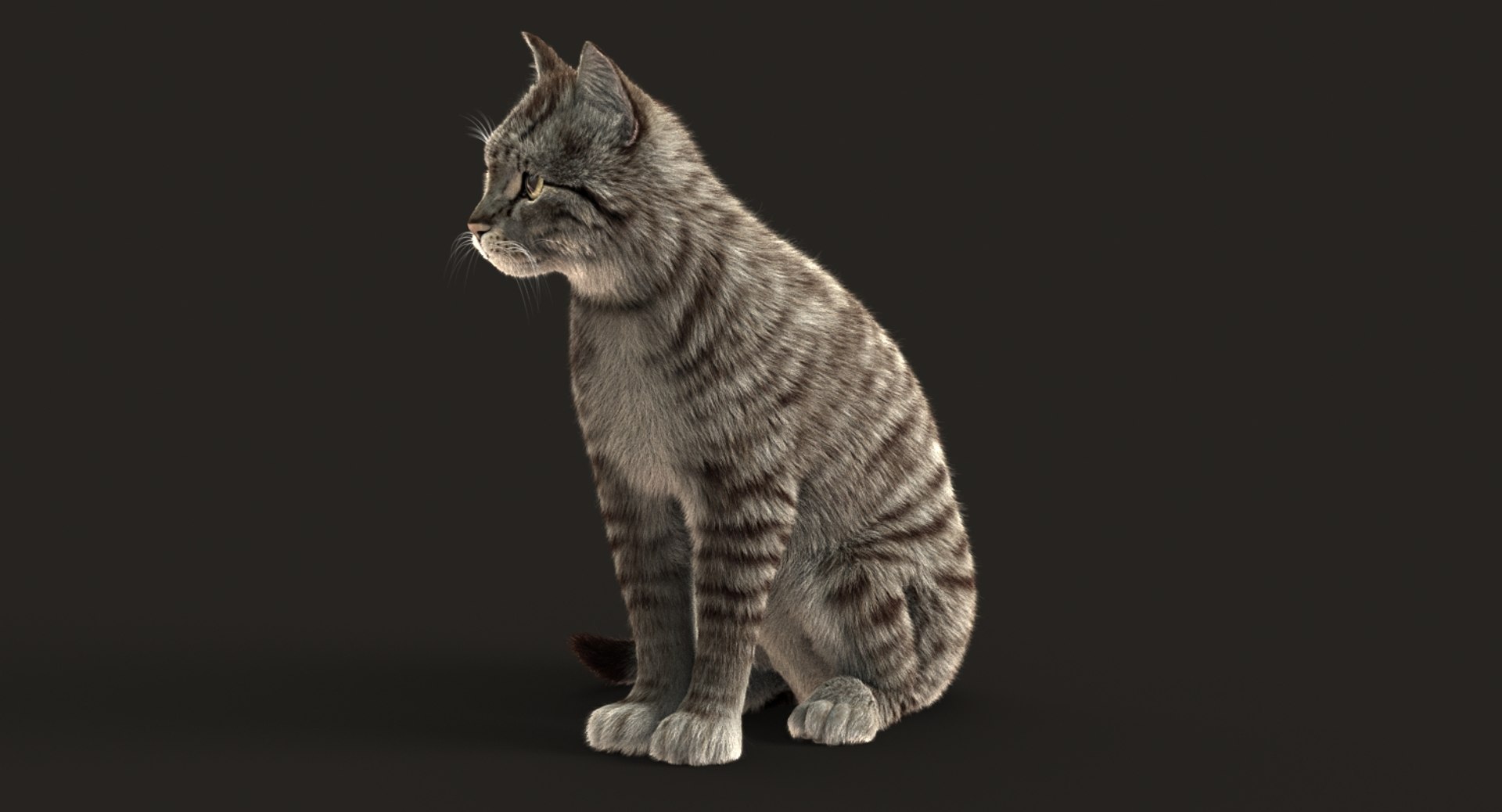 Cat rigged fur 2 3D model - TurboSquid 1304221