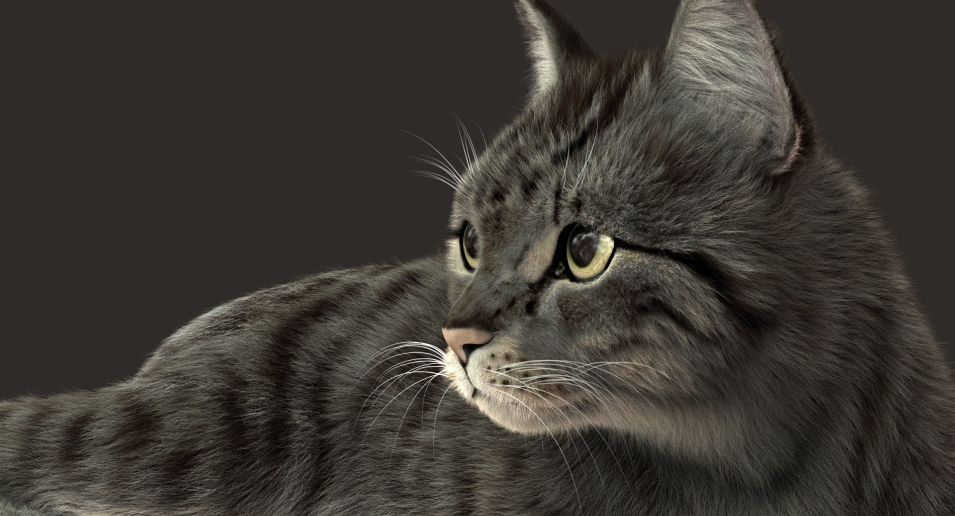 Cat Rigged Fur 2 3D Model - TurboSquid 1304221