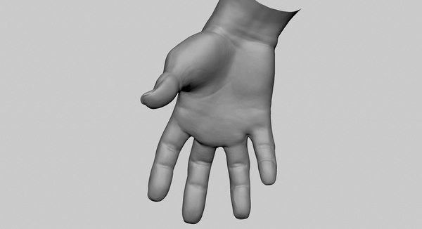 3D model Hand v5 - TurboSquid 1891929