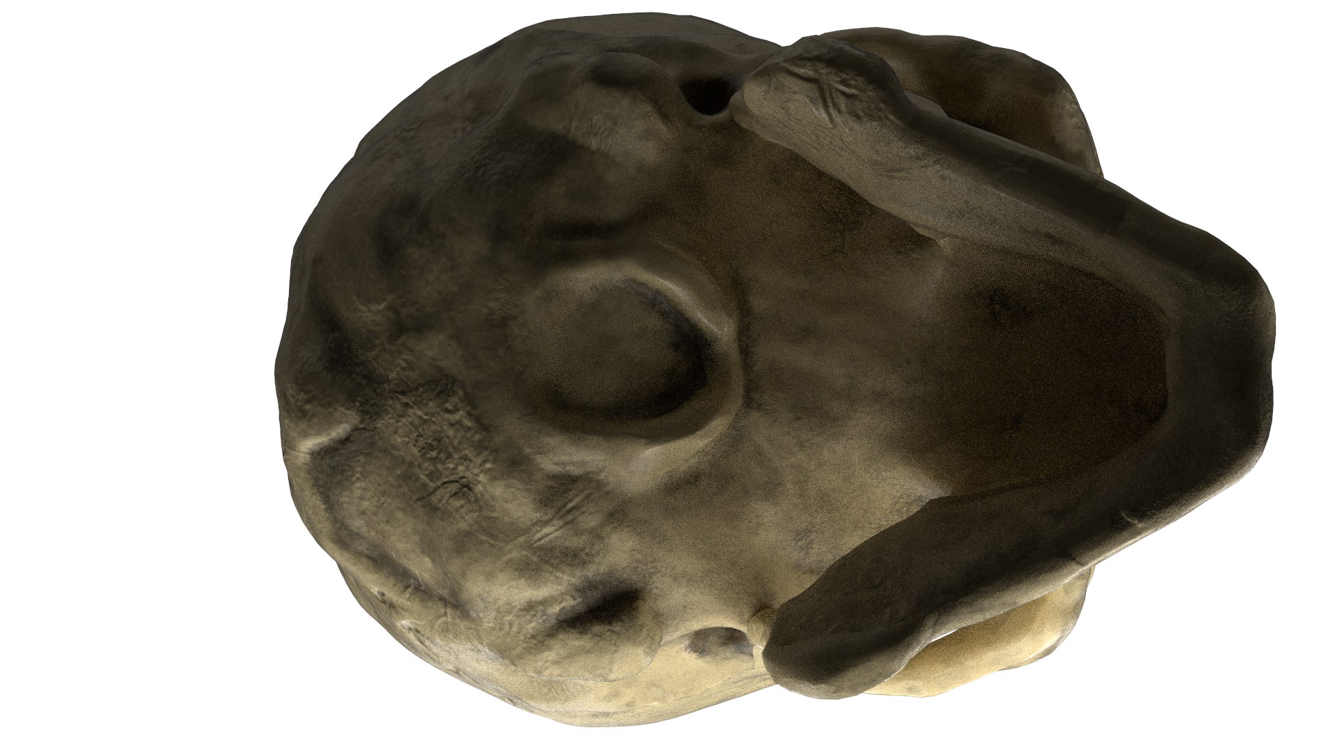 Robust Skull Cranium 3D Model - TurboSquid 1589230