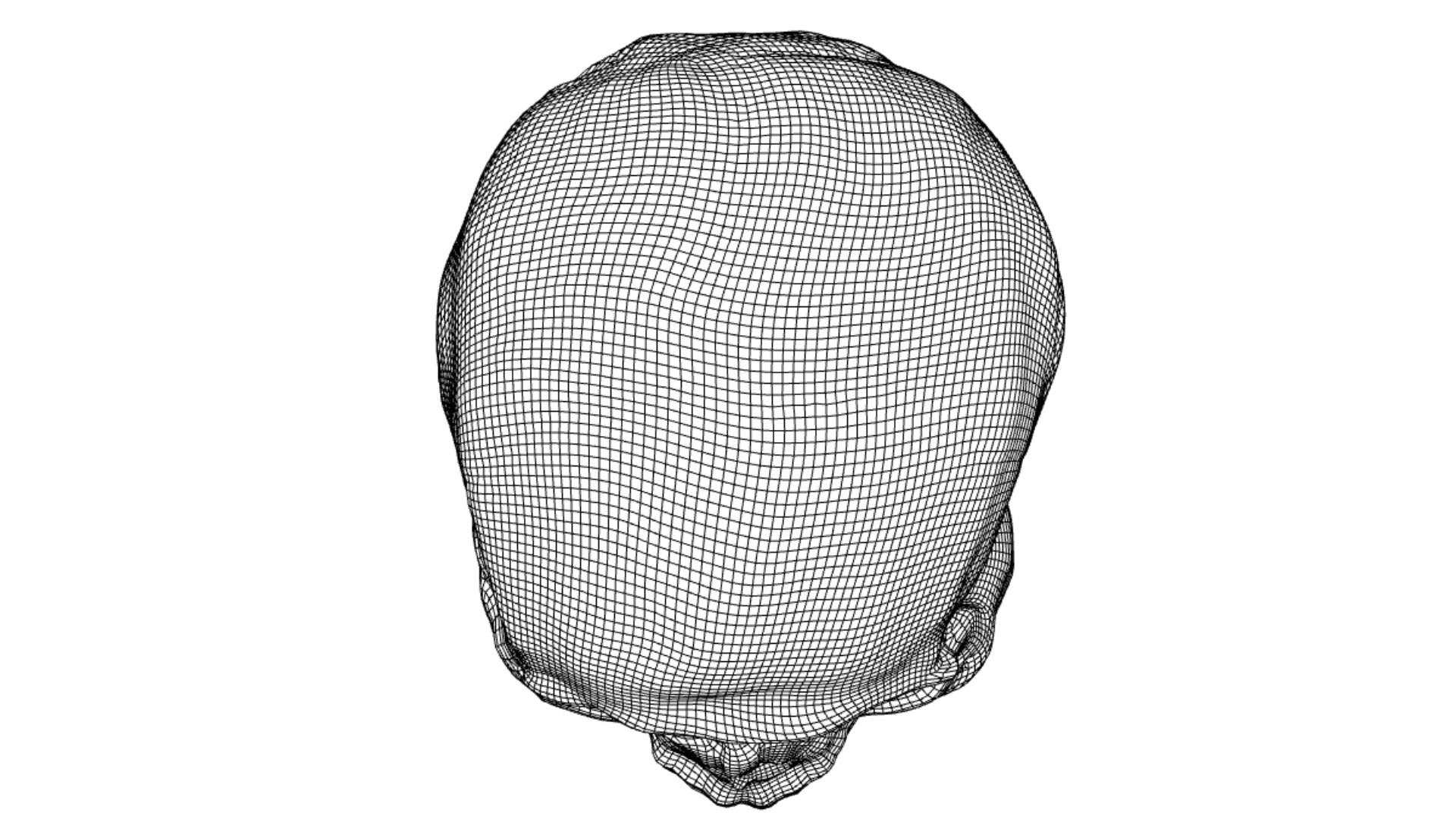 Robust Skull Cranium 3D Model - TurboSquid 1589230