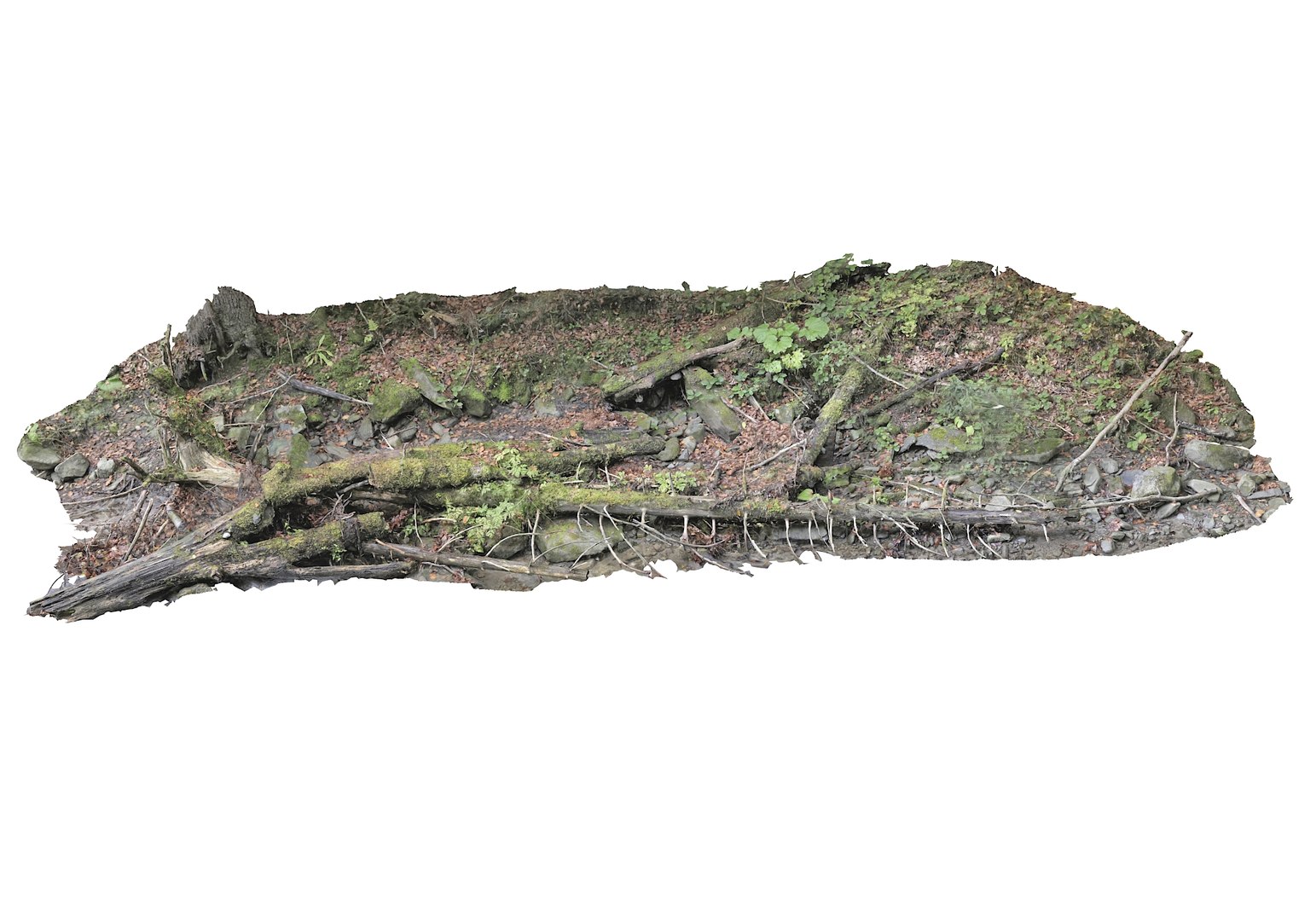 3D Forest Asset Hd - TurboSquid 1640969