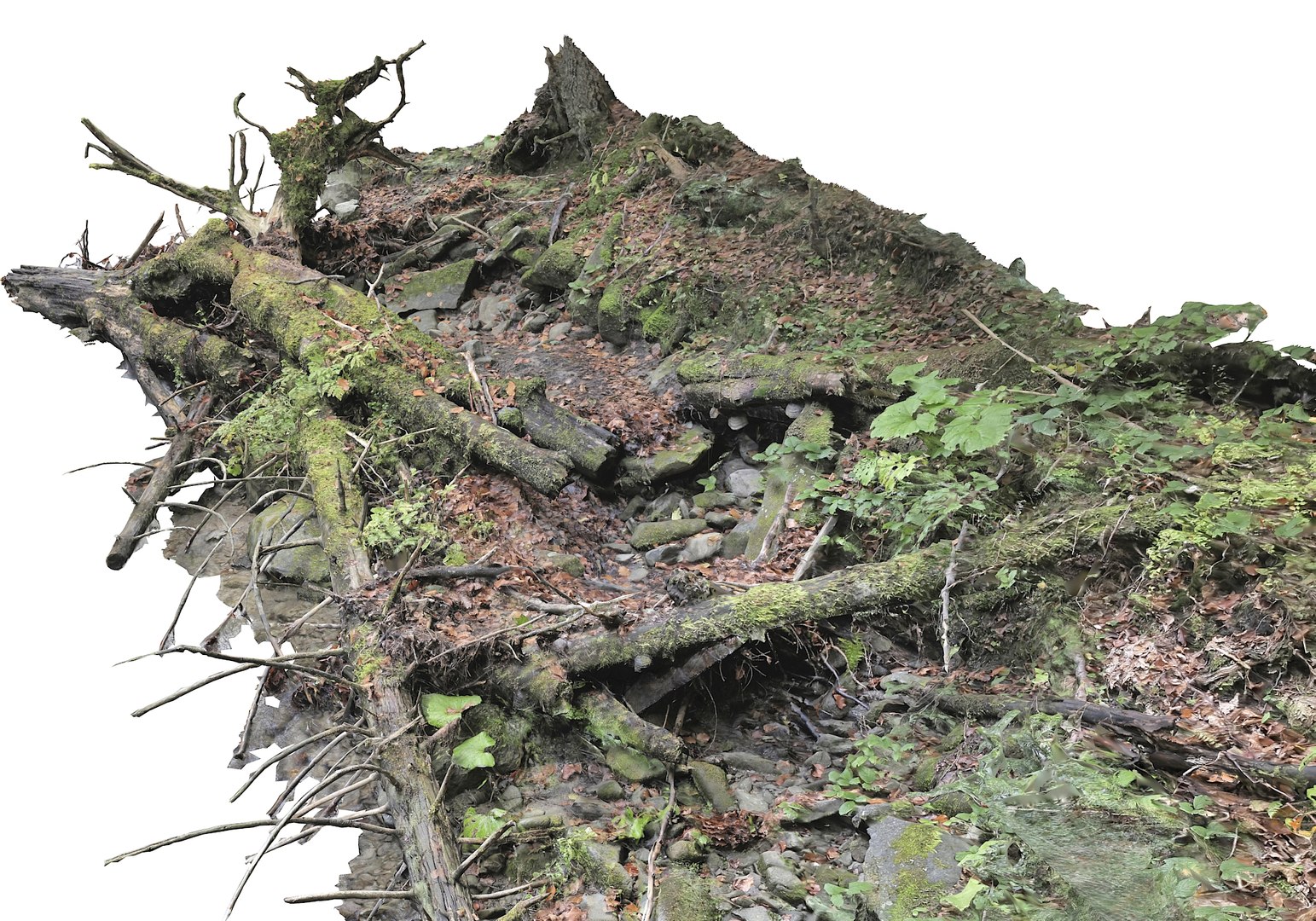 3D Forest Asset Hd - TurboSquid 1640969