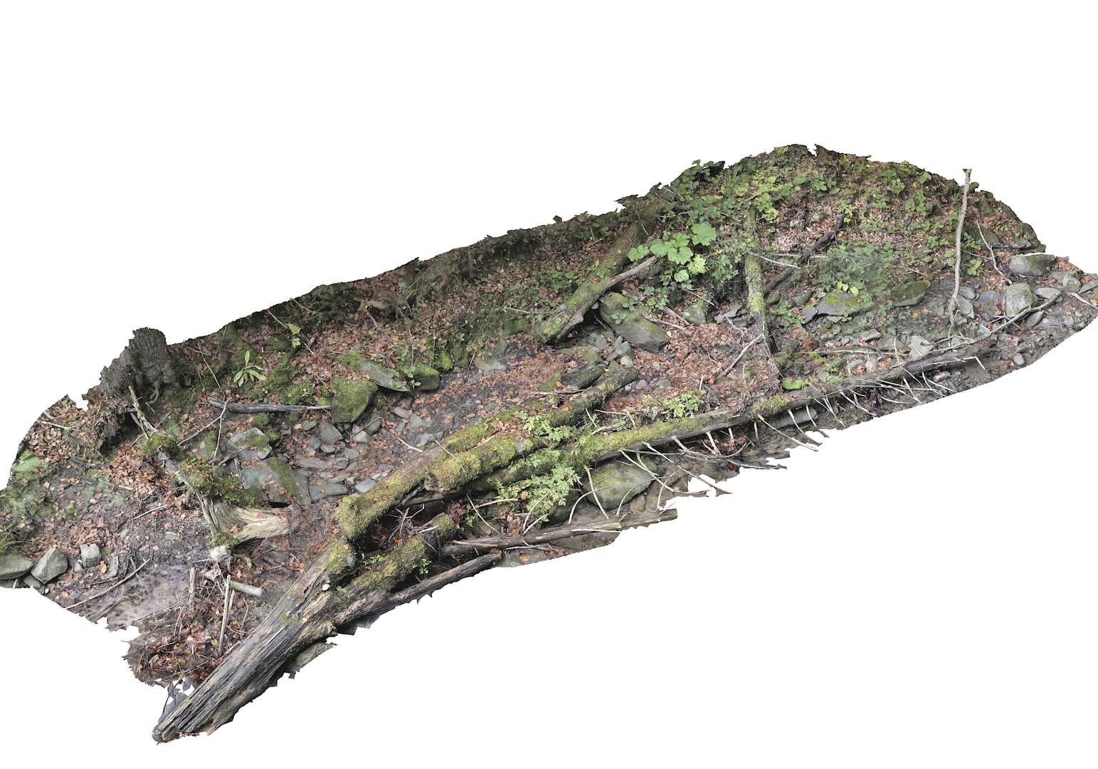 3D Forest Asset Hd - TurboSquid 1640969