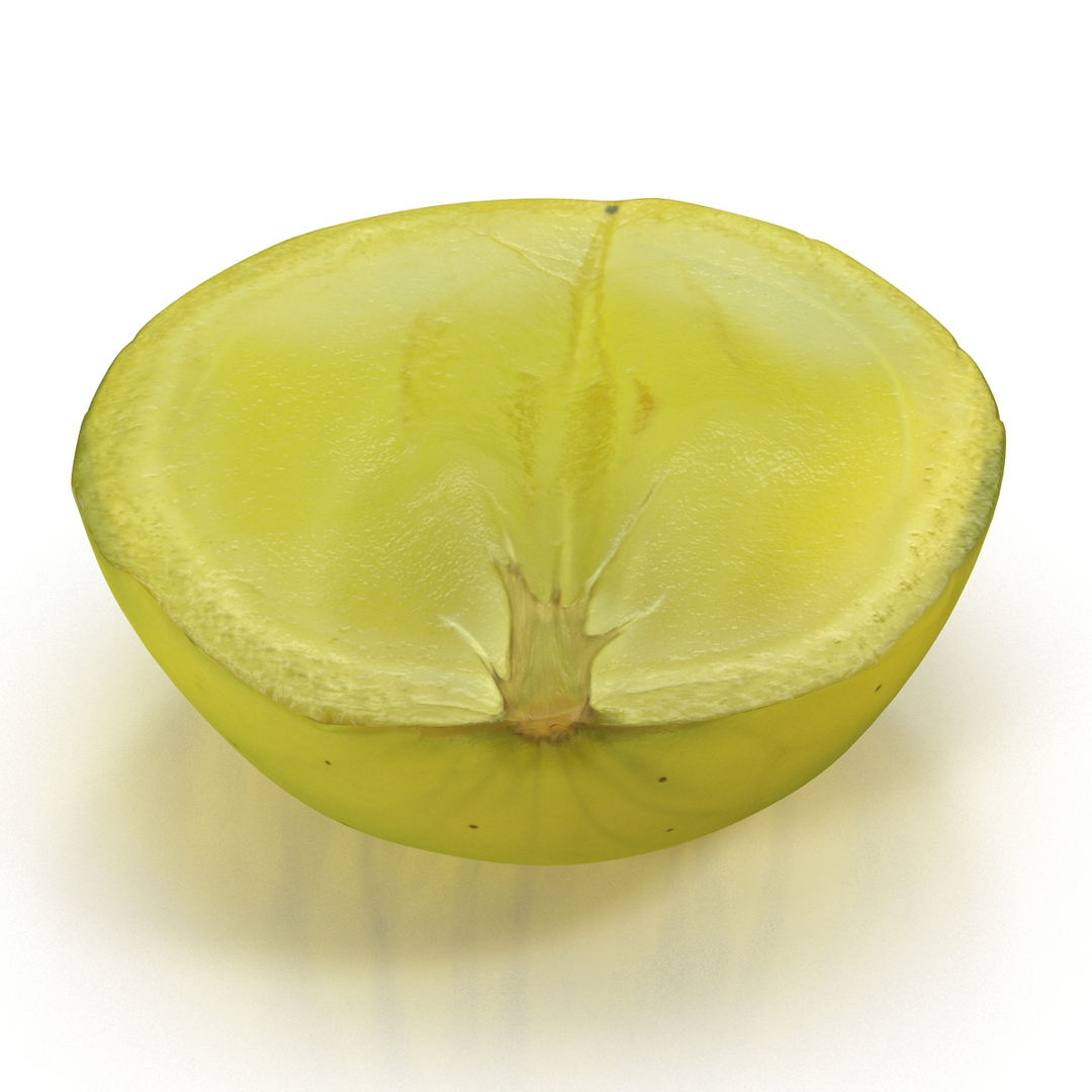 3d Max Green Grape Cross Section