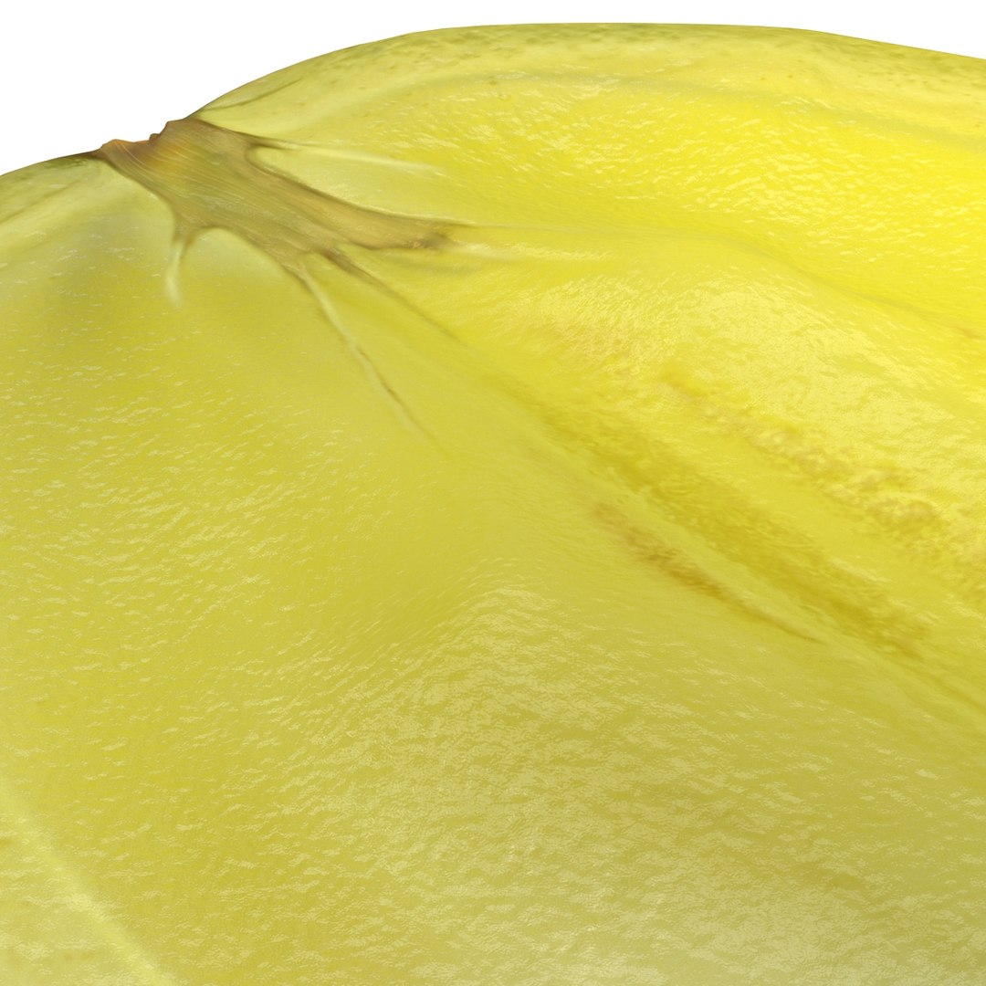 3d Max Green Grape Cross Section