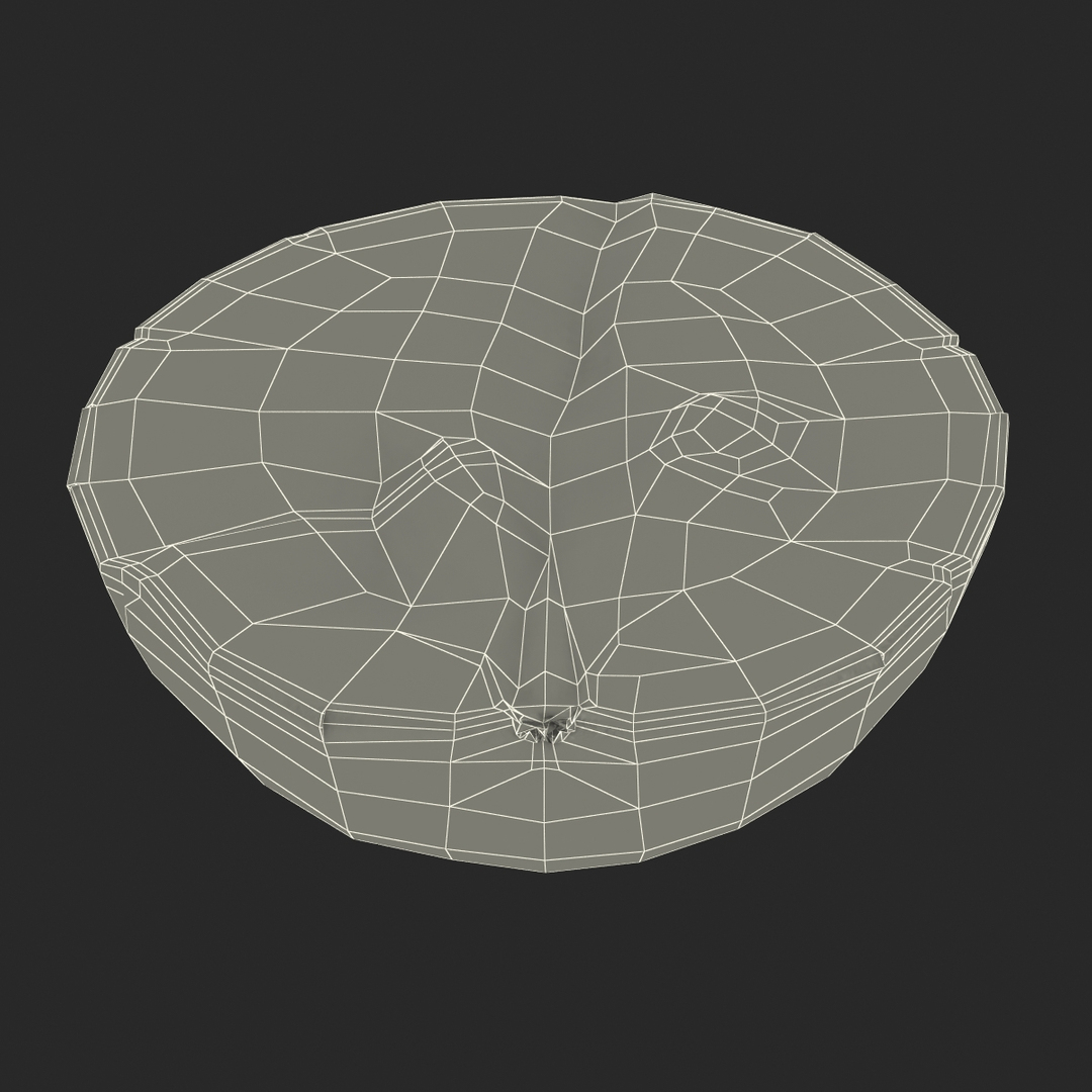 3d Max Green Grape Cross Section