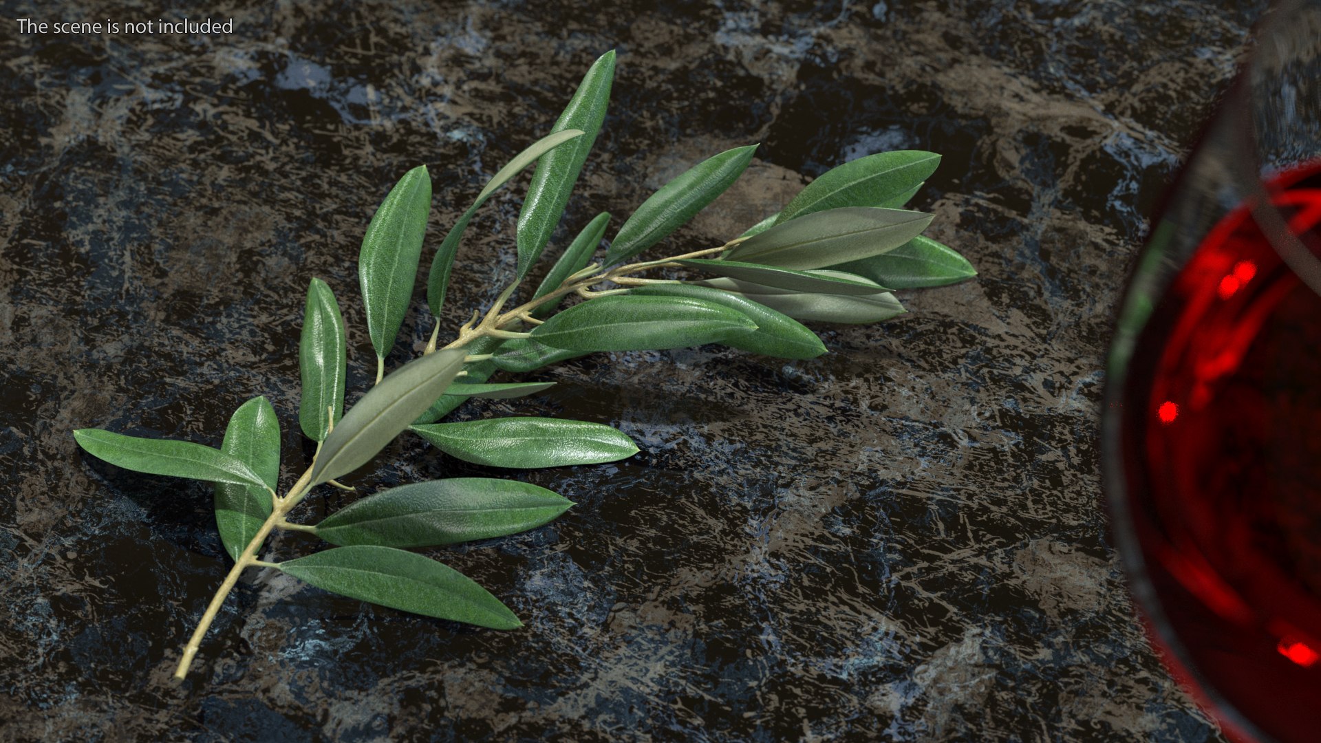 3D Olive Tree Branch No Olives Lying - TurboSquid 1944989