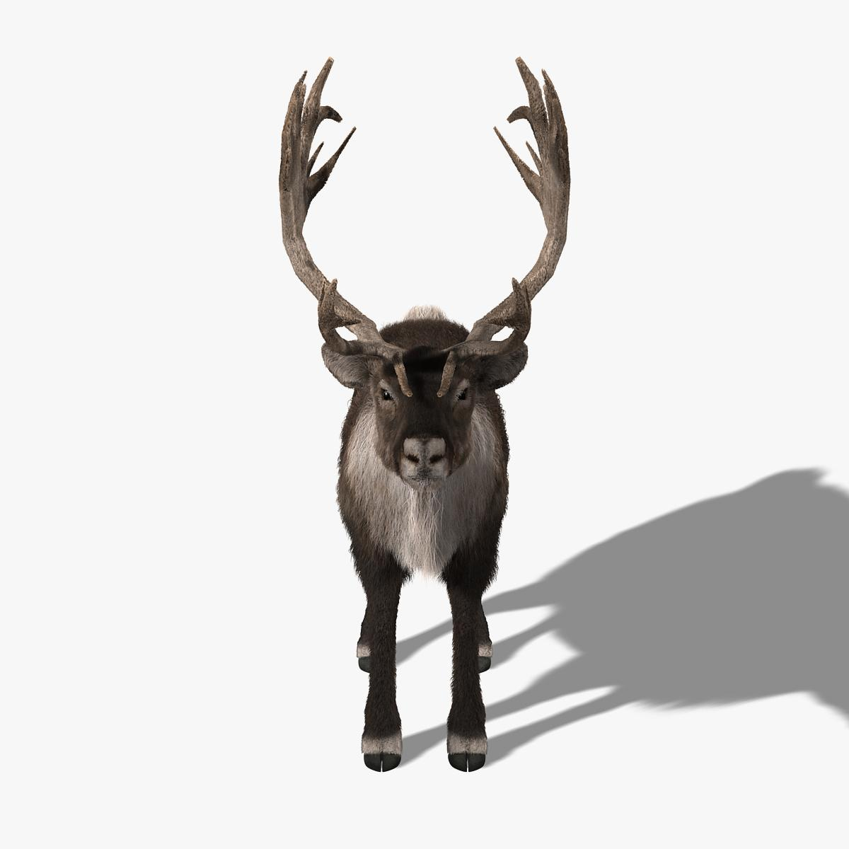 3d reindeer fur