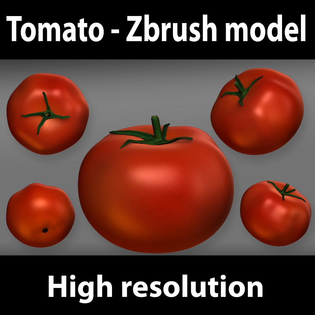 3d Zbrush Tomato Model