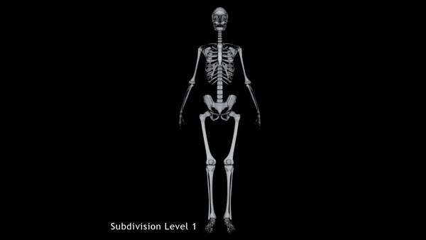 3ds human skeleton