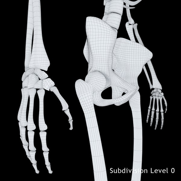3ds human skeleton