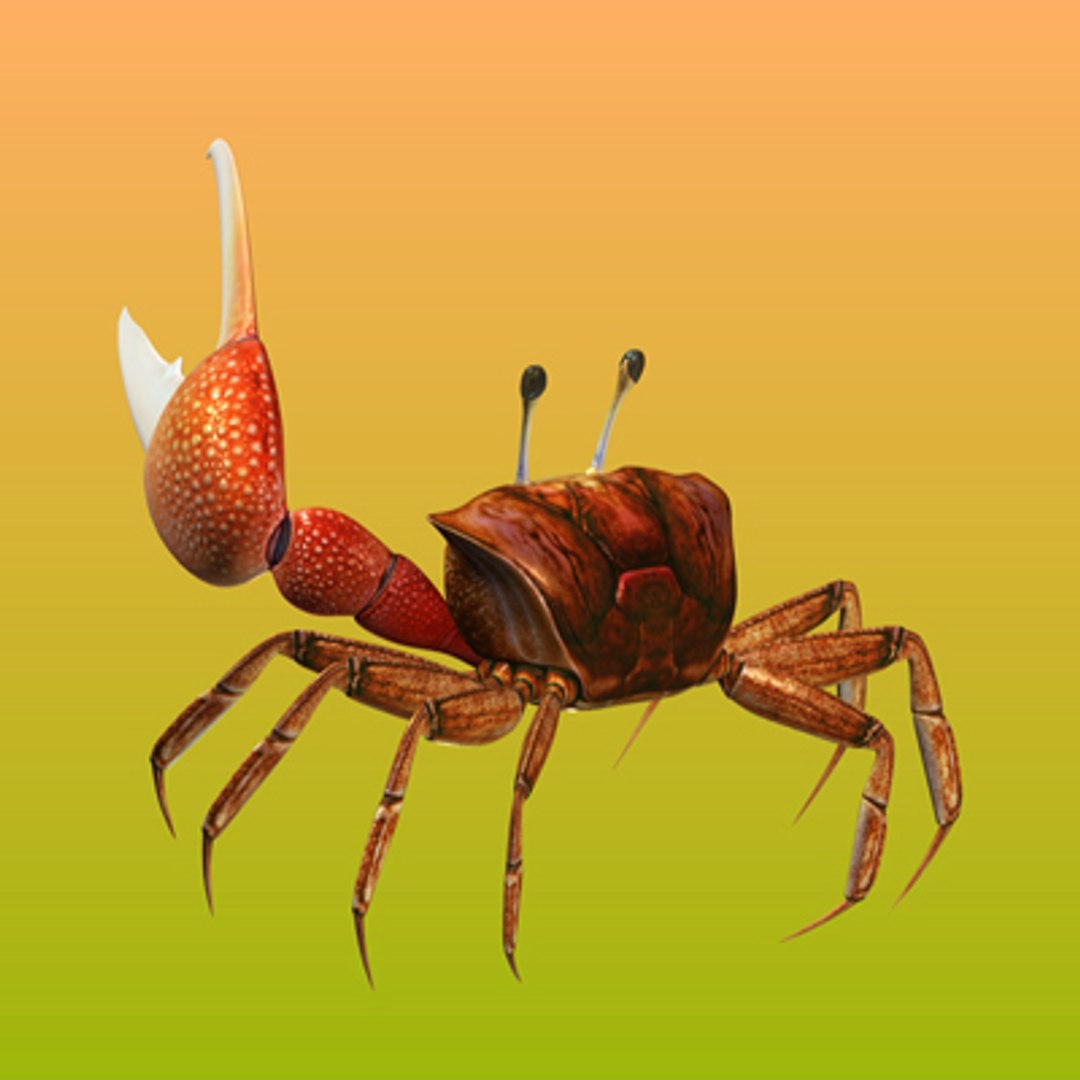 3d fiddler crab