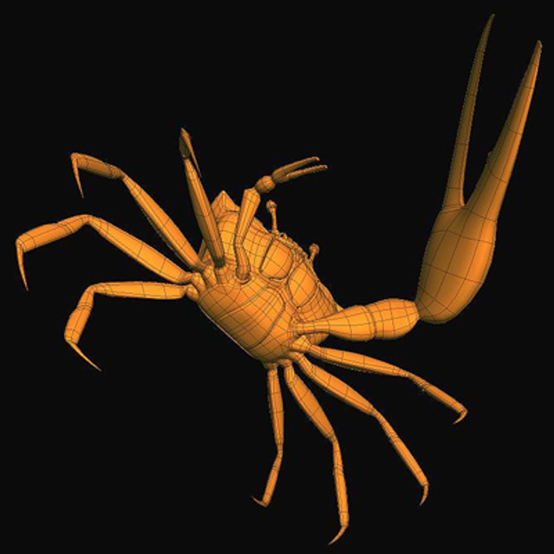 3d fiddler crab