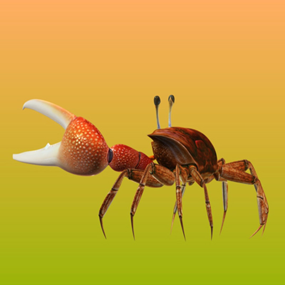 3d fiddler crab