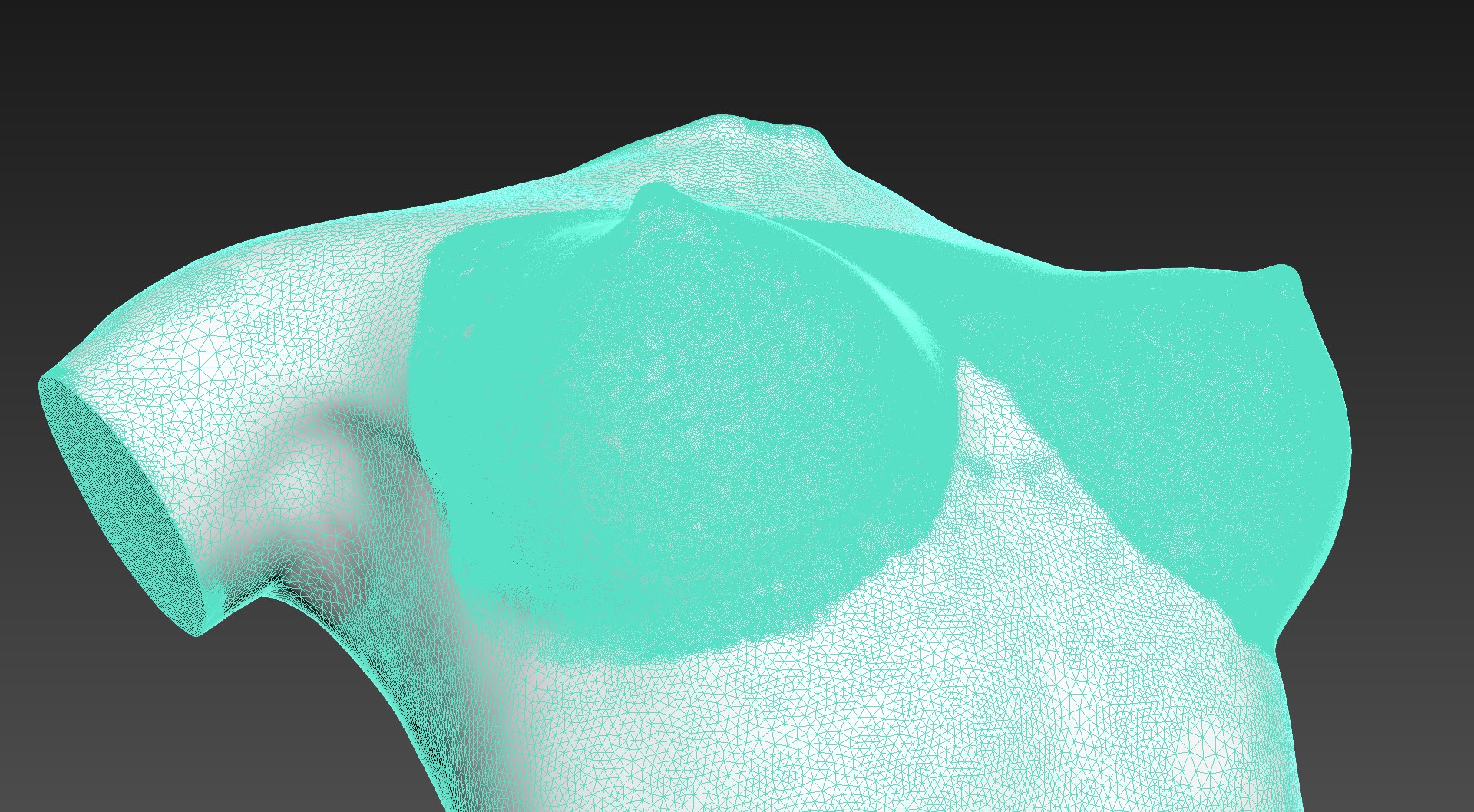 3D Anatomy Female Body Model - TurboSquid 1257736