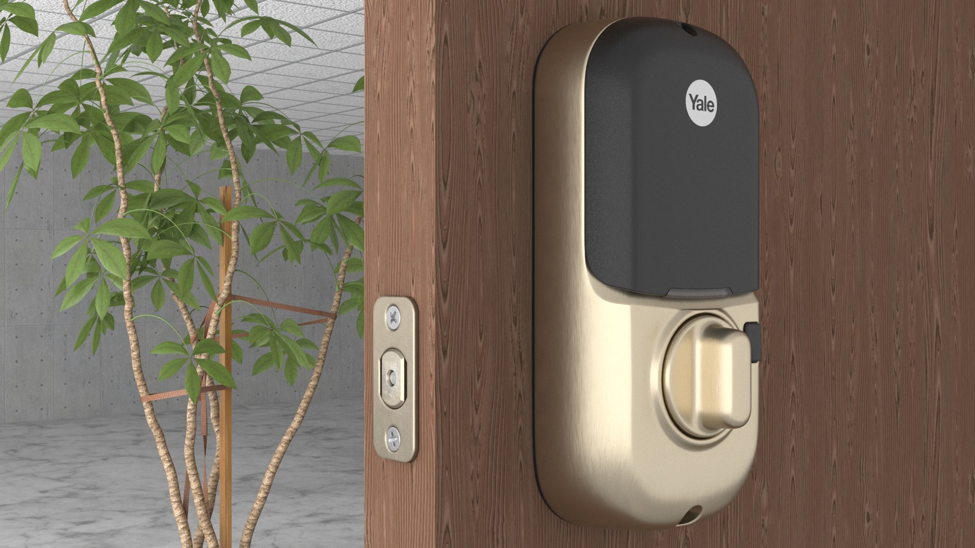 3D Smart Locks - TurboSquid 1620805