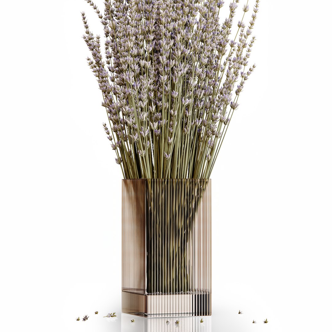 Dry Flowers 5 Lavender Model - TurboSquid 1806235