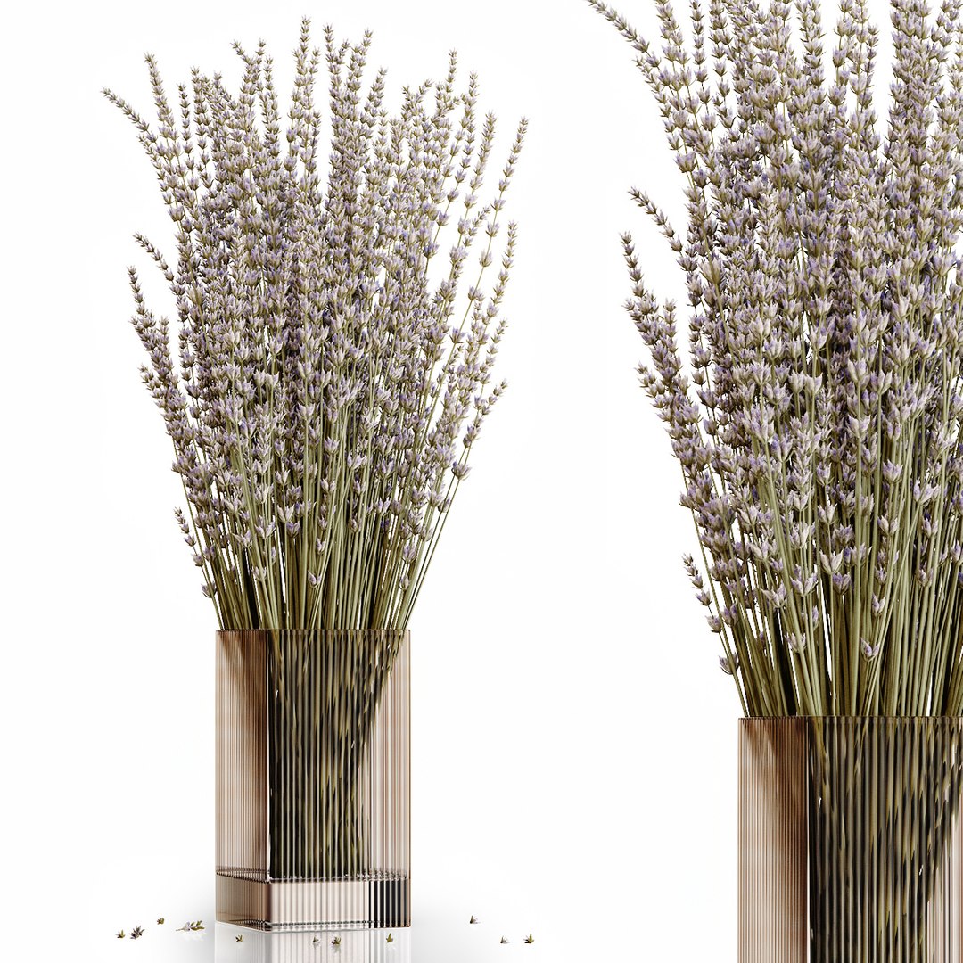 Dry Flowers 5 Lavender Model - TurboSquid 1806235