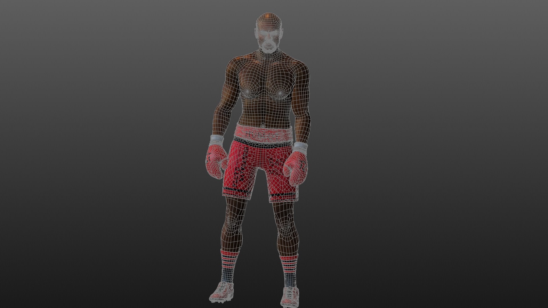 Professional 3D Boxer Character For Animations And Games 3D Model - TurboSquid 2252222