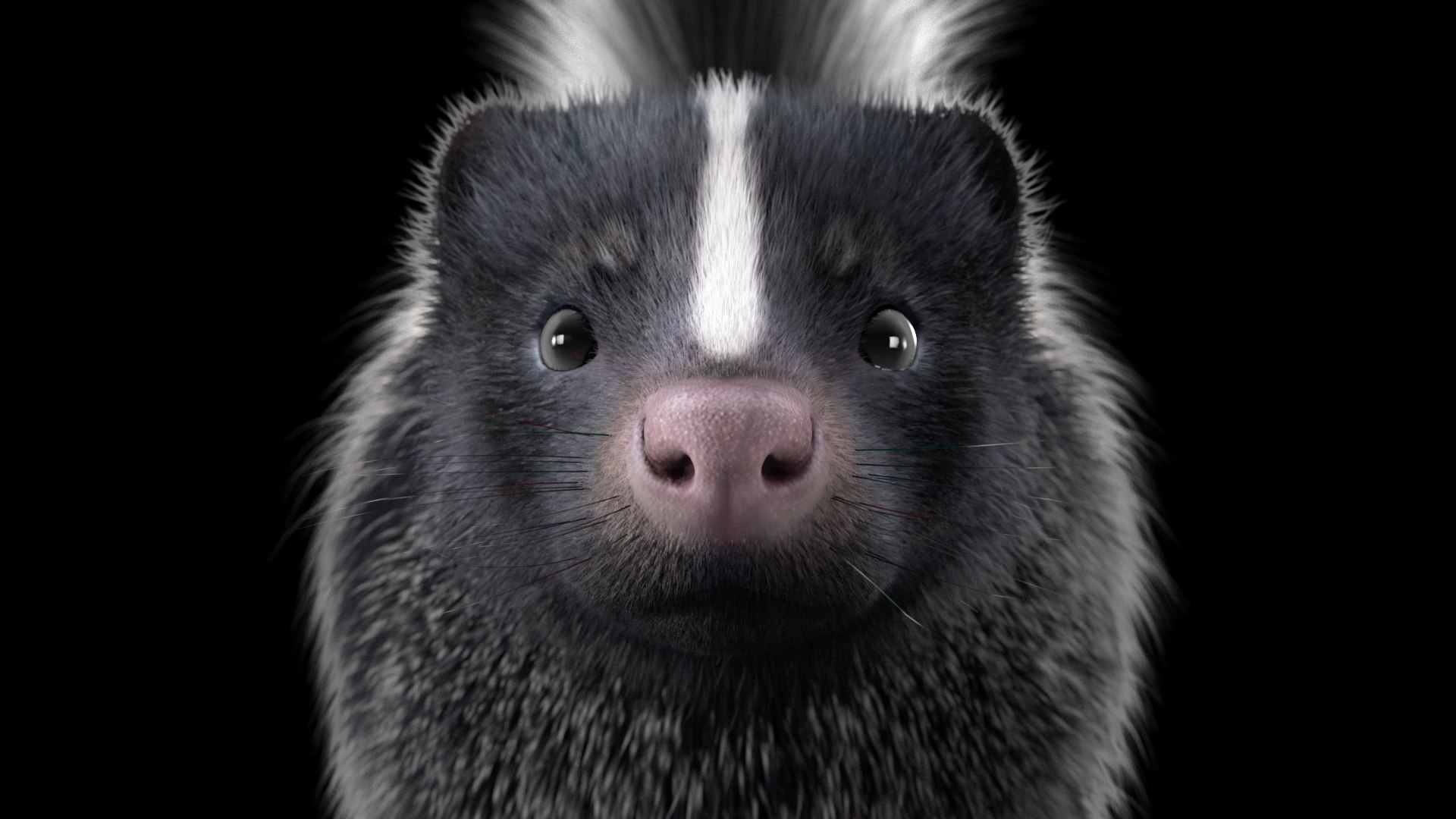 Skunk Fur 3D model - TurboSquid 2107331