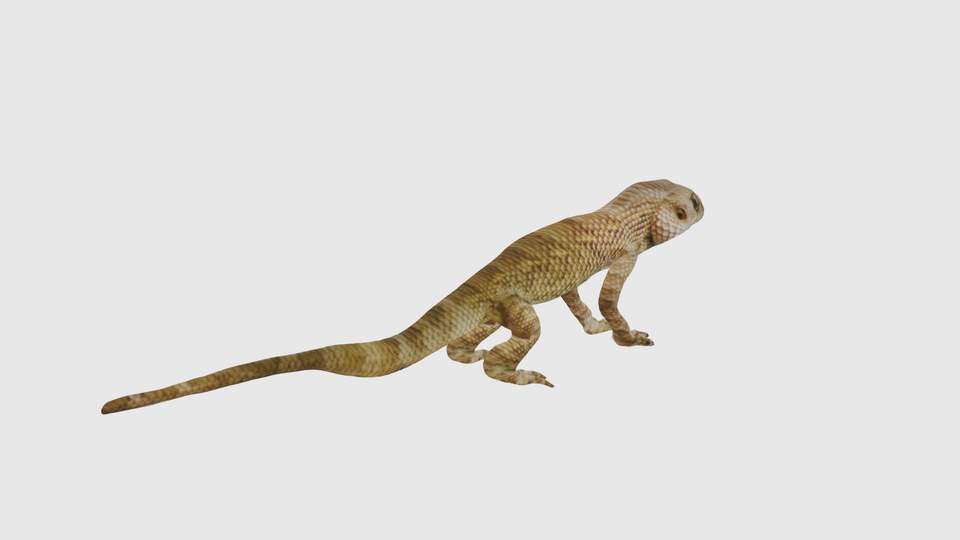 3D Low Poly Lizard Rigged With Realistic Texture - TurboSquid 1876195