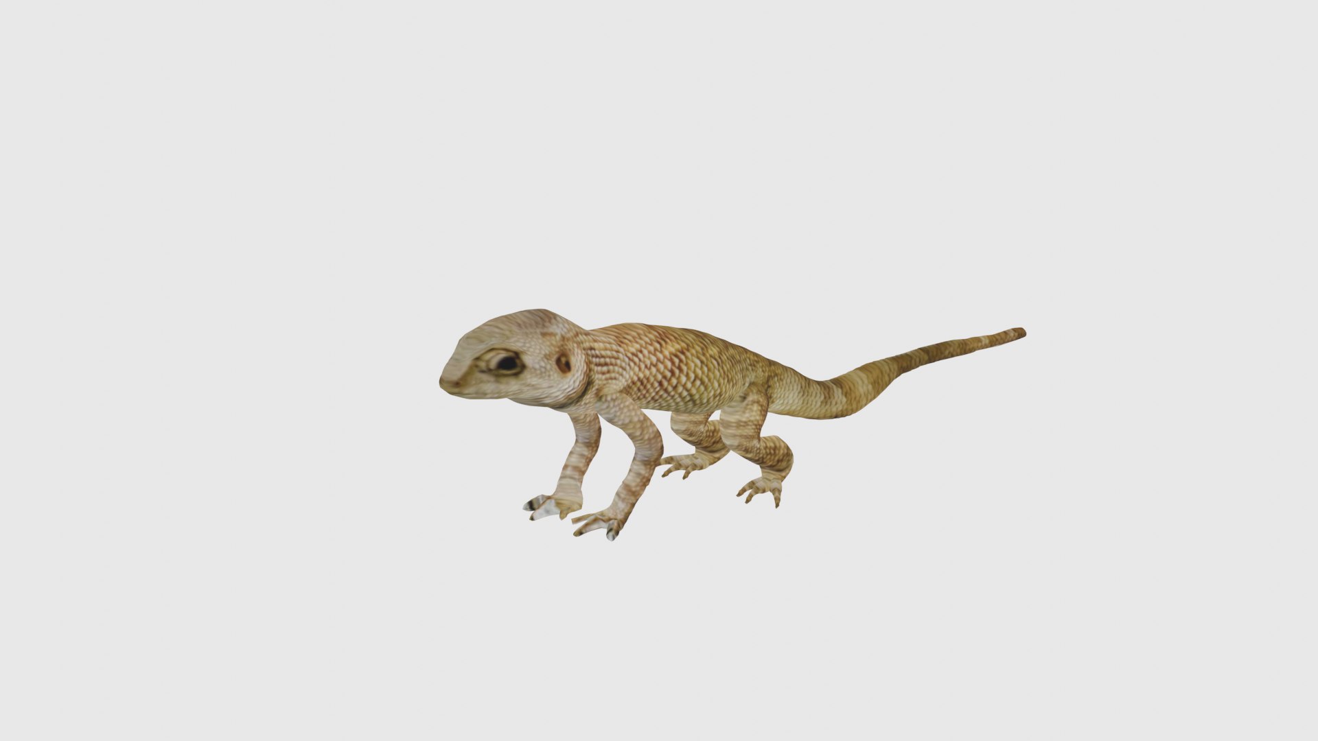 3D Low Poly Lizard Rigged With Realistic Texture - TurboSquid 1876195