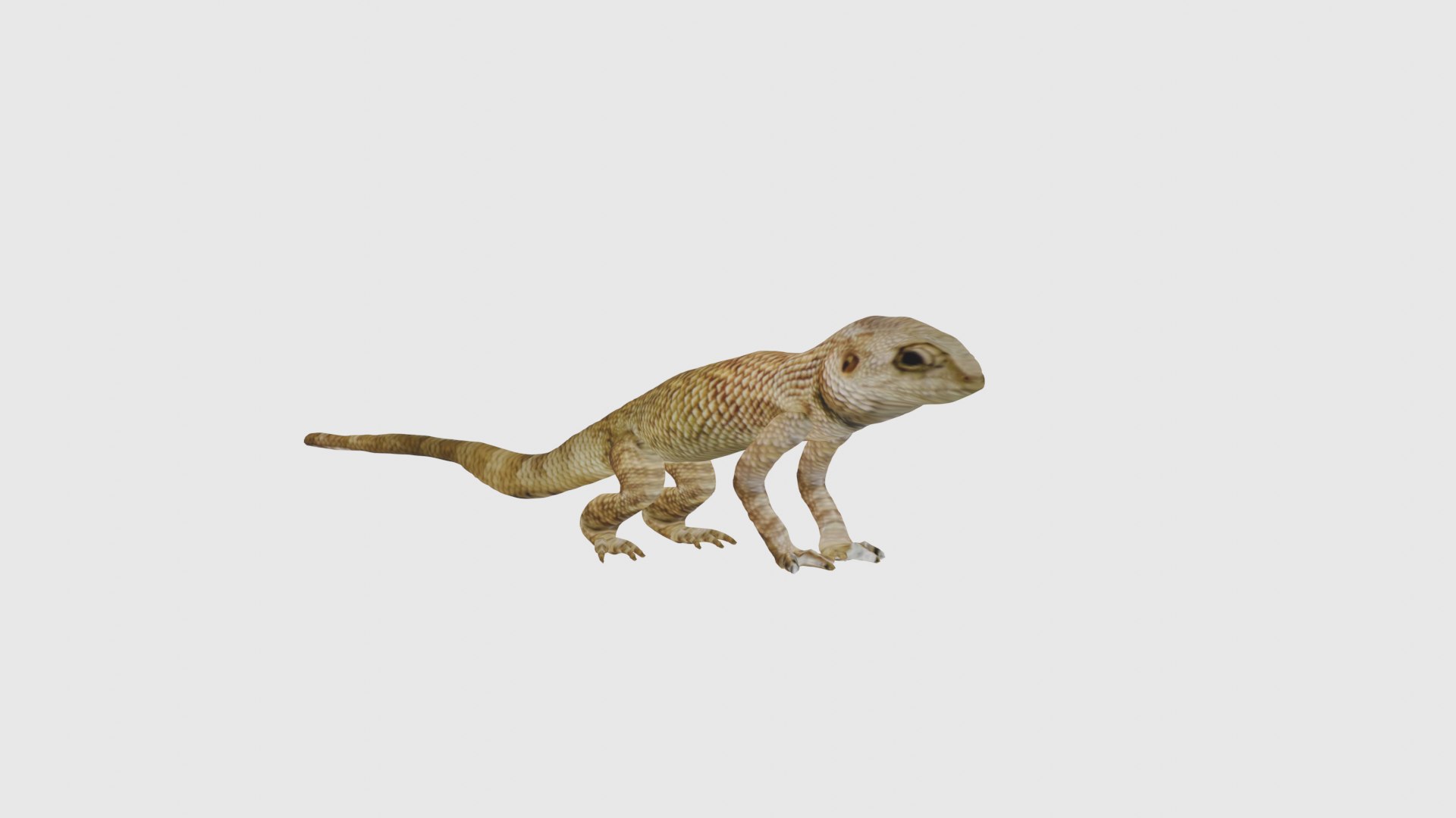 3D Low Poly Lizard Rigged With Realistic Texture - TurboSquid 1876195