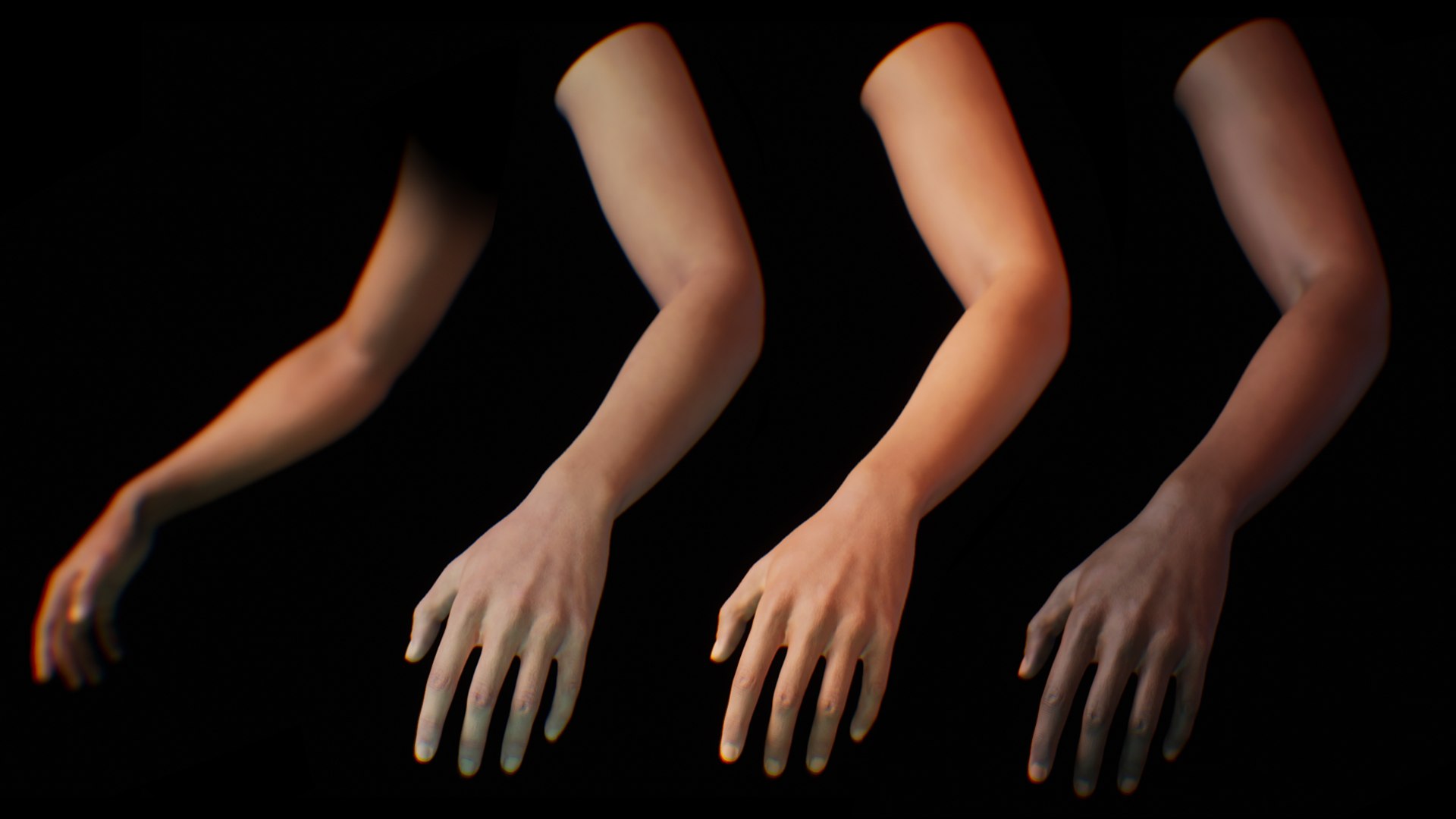 3D Male Female Arms Pack - Human Anatomy - TurboSquid 2209562