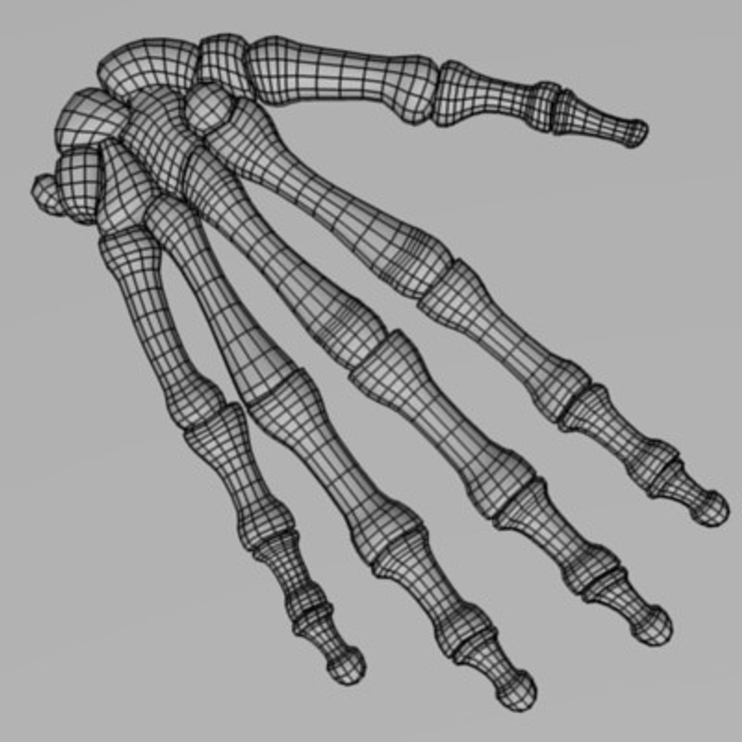 3d hand bones model