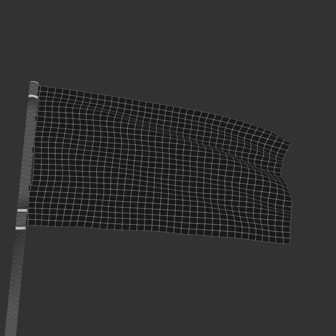Point Flag Animation 3d Model