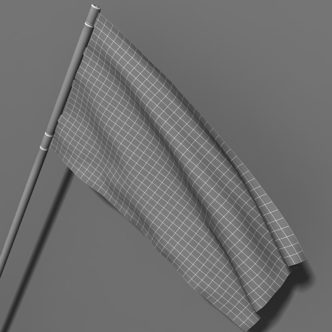 Point Flag Animation 3d Model