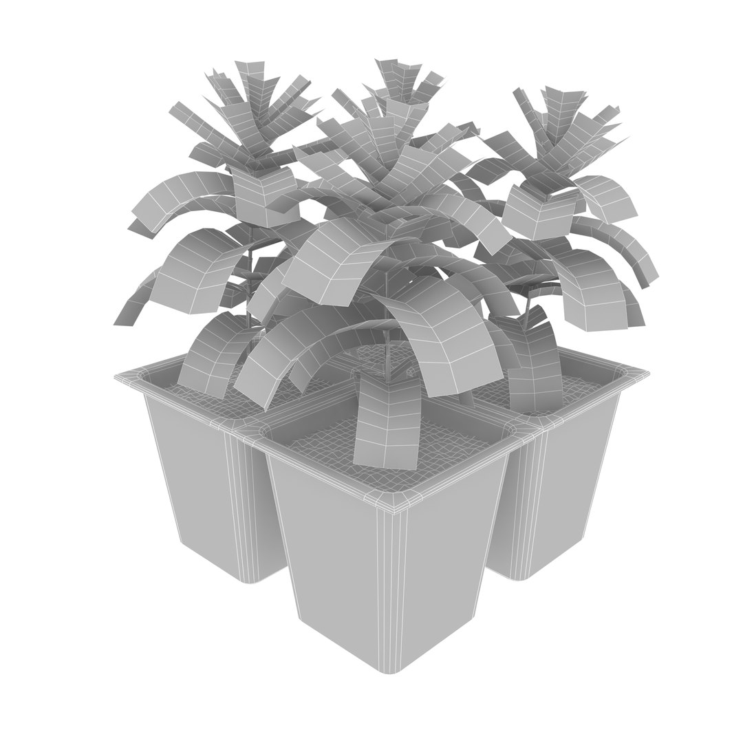 3d Bell Pepper Seedlings Model